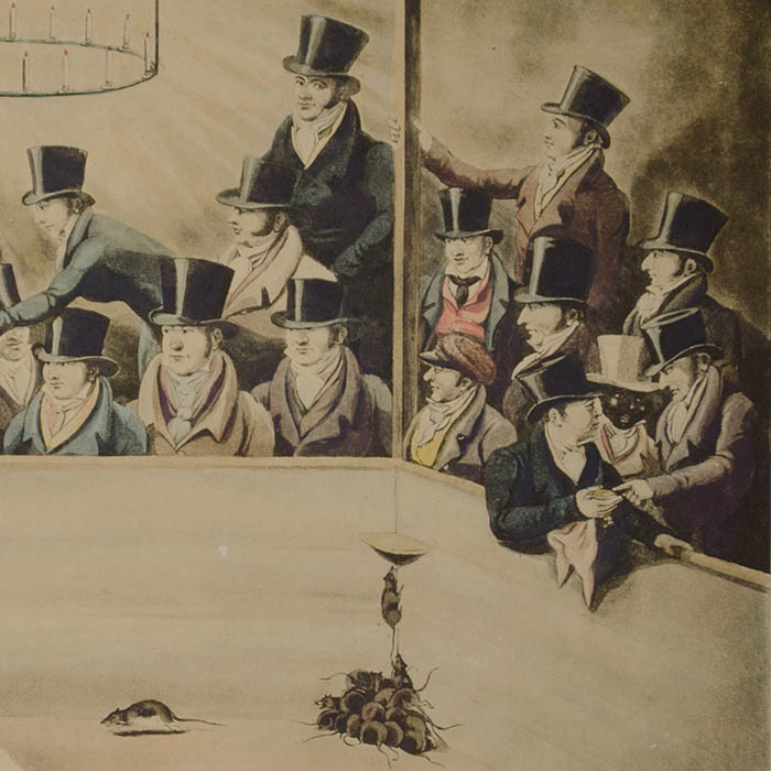 Sporting, Gambling, Billy the Rat Killing Dog, Antique Print, British ...