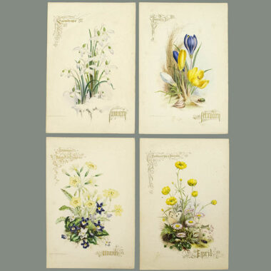 Botanical, Art, Prints, 12 Months of Flowers, Paul Jerrard, London ...