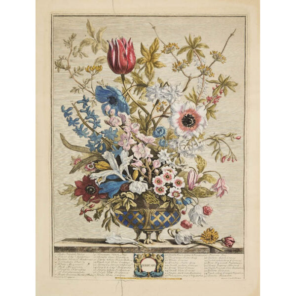 Botanical, Art, Furber, 12 Months of Flowers, Set of 12 Antique Prints ...